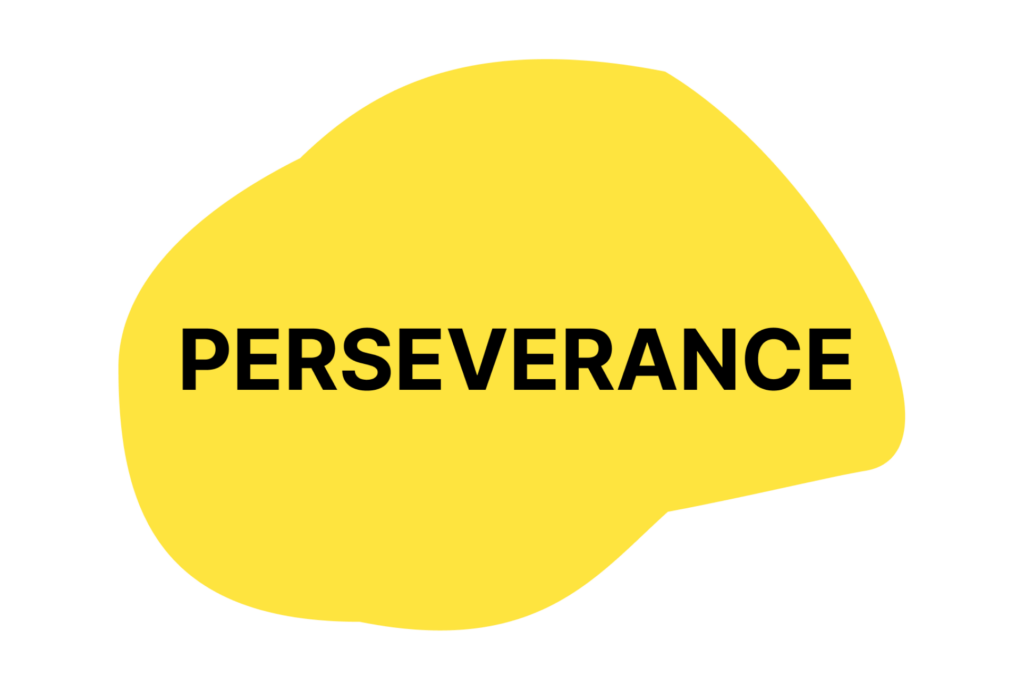 Perseverance – DevTech Research Group
