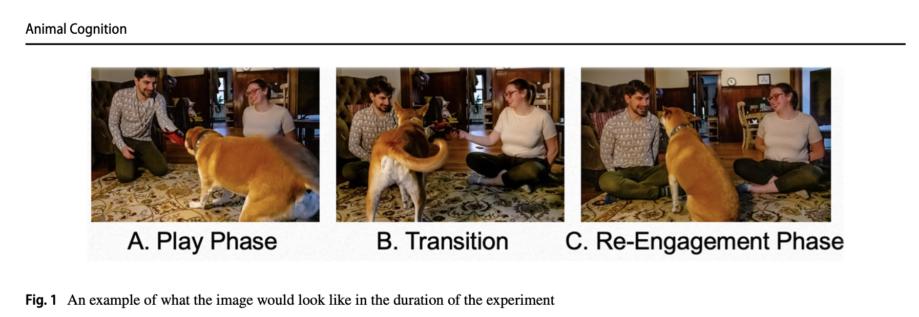 New Publication! - Canine Cognition Center