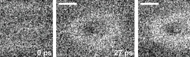 Anomalously slow hot carrier cooling and insulator-to-metal transition ...