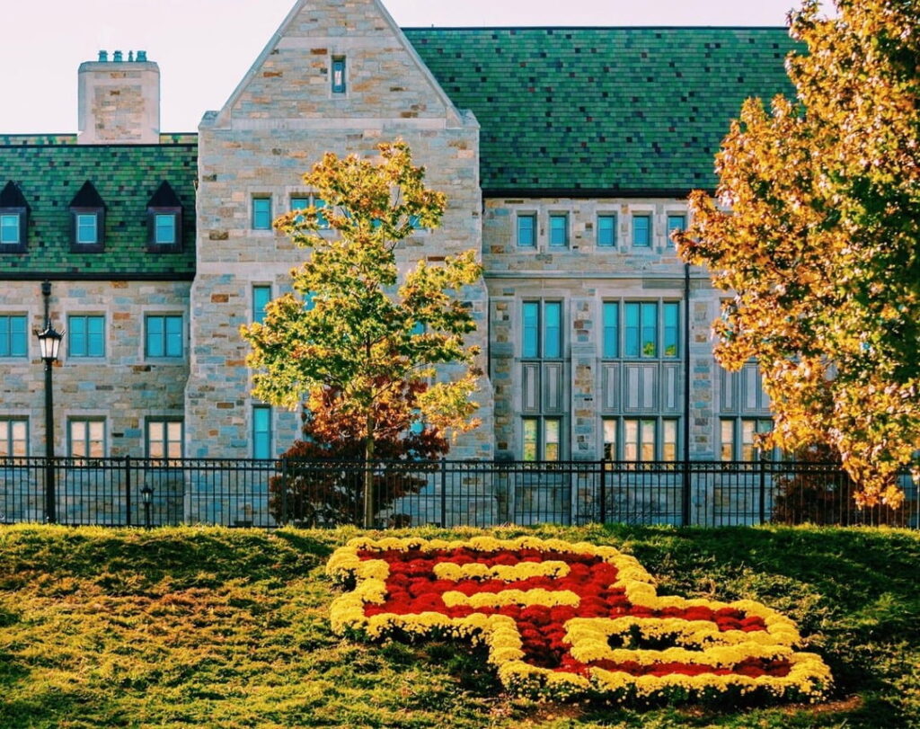 bc-flower – Sara Cordes