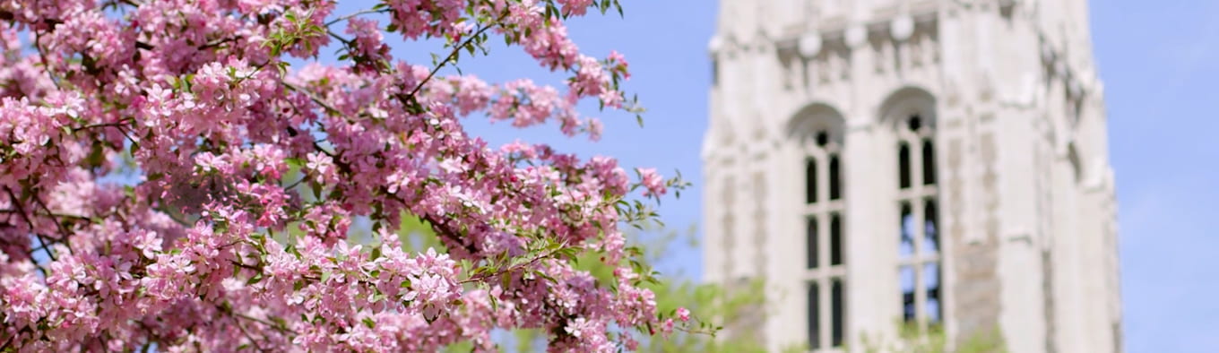 hero-image-gasson-spring – Sara Cordes
